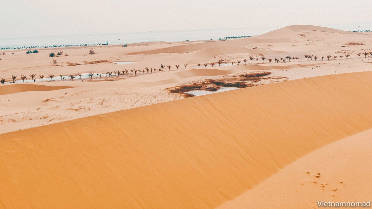 Ultimate Mui Ne Travel Guide | The #1 Travel Guide | Vietnamnomad