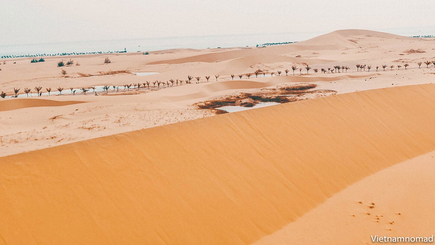 Ultimate Mui Ne Travel Guide | The #1 Travel Guide | Vietnamnomad